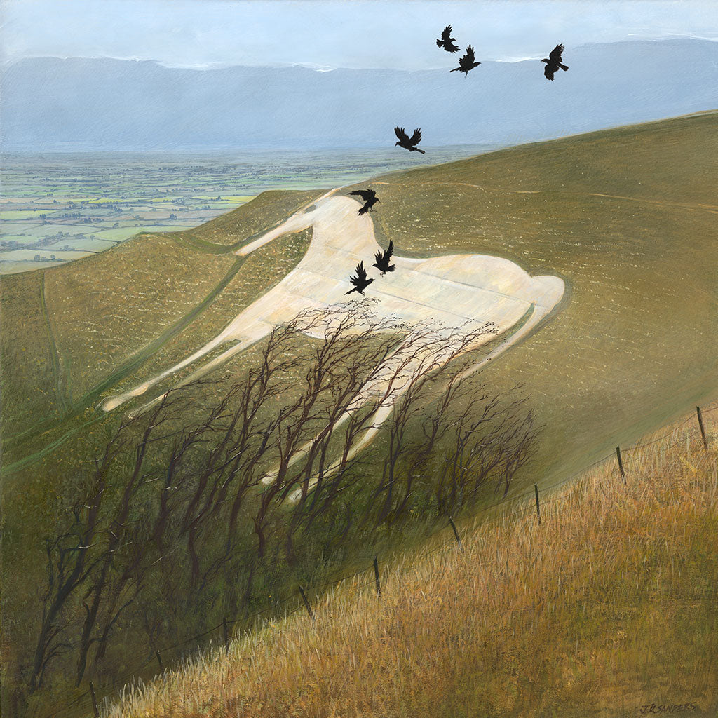 Jonathan Sanders – Lanternfish Publishing