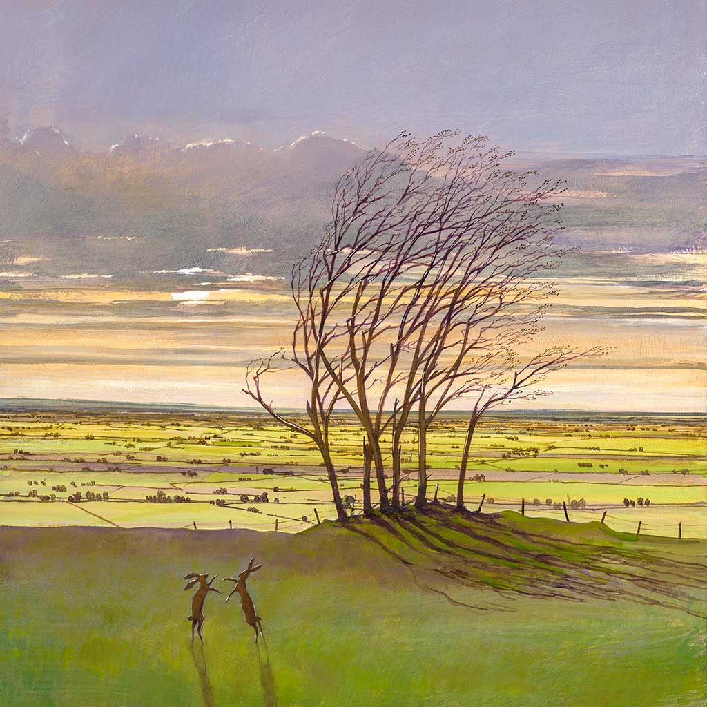 The Great Outdoors by Jonathan Sanders – Lanternfish Publishing