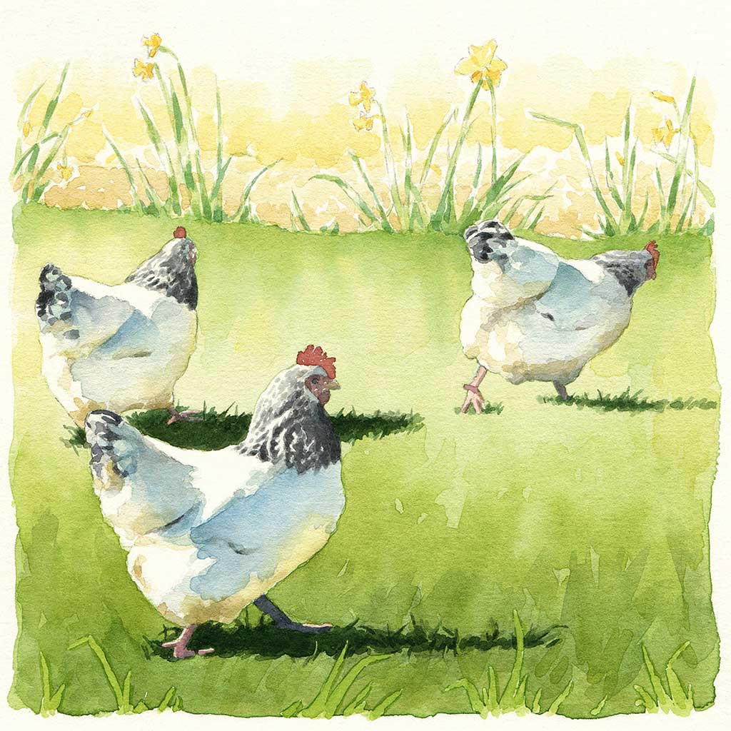 Sally Barton – Lanternfish Publishing