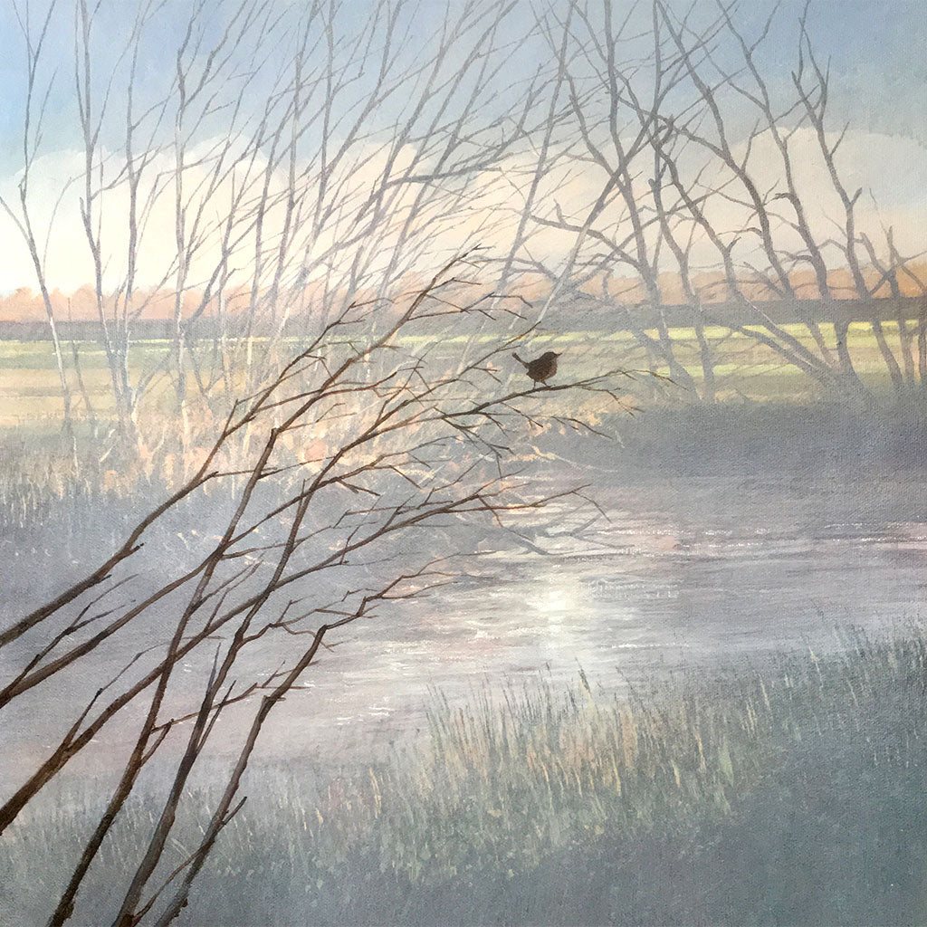 JS013 Wren on a Branch – Lanternfish Publishing